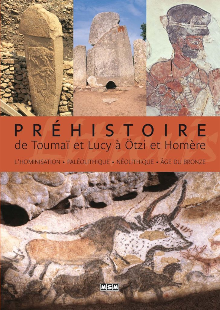 Archives des Préhistoire - MSM Editions